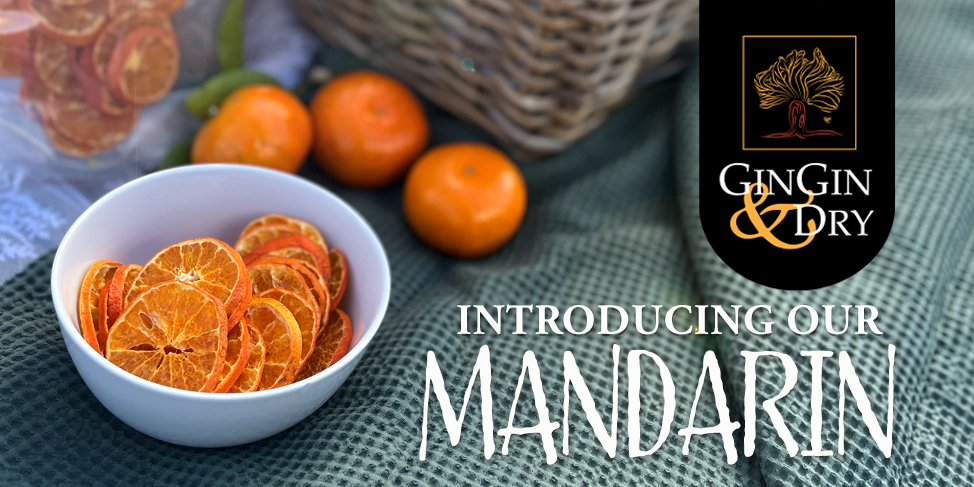 Dried Mandarin Slices - Gin Gin & Dry